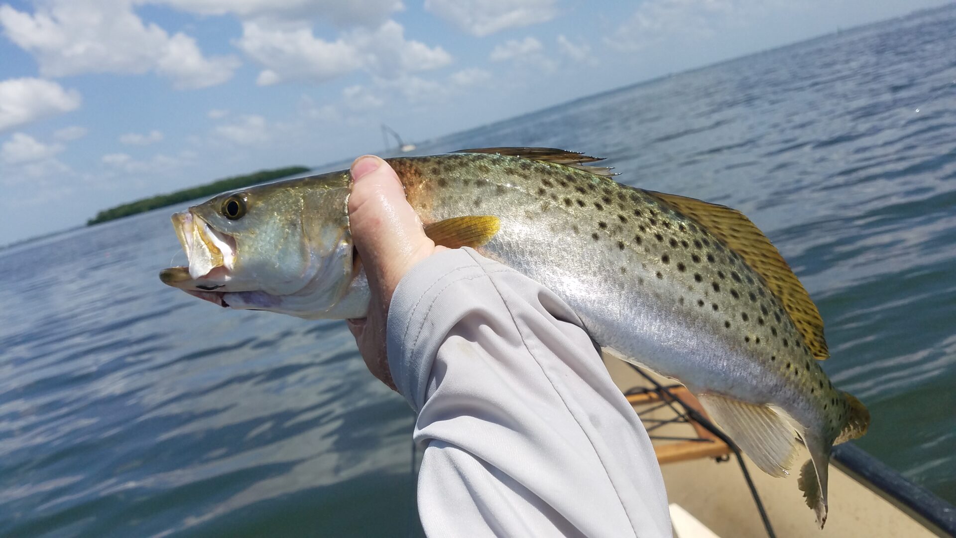 YAKFISHIN365 - Ultimate Guide to Kayak Fishing