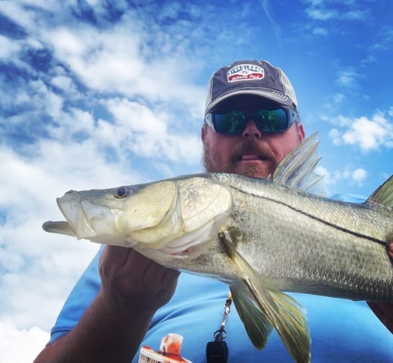 Snook Lures and Bait: How, Where, and When to Fish Them