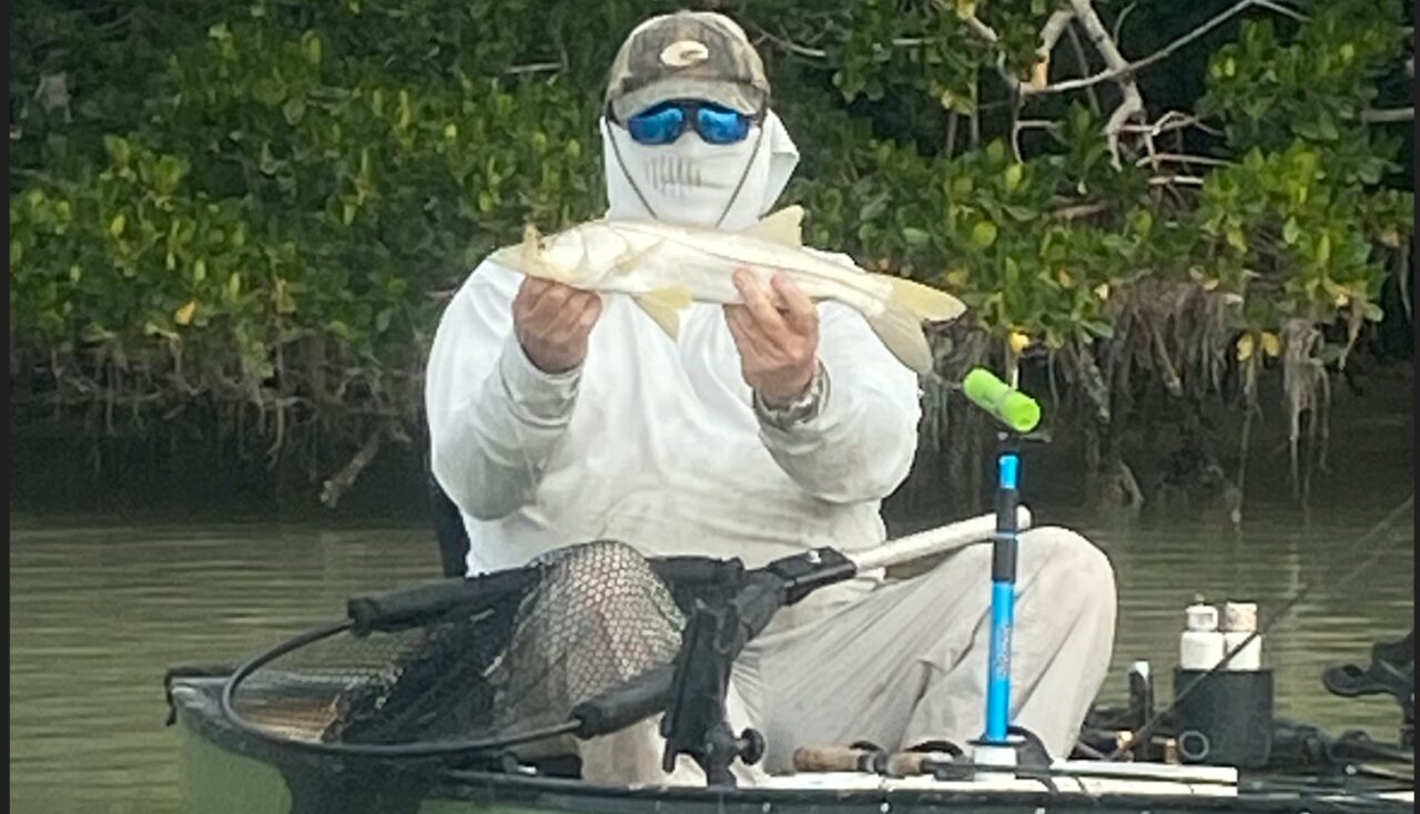 Snook Lures and Bait: How, Where, and When to Fish Them