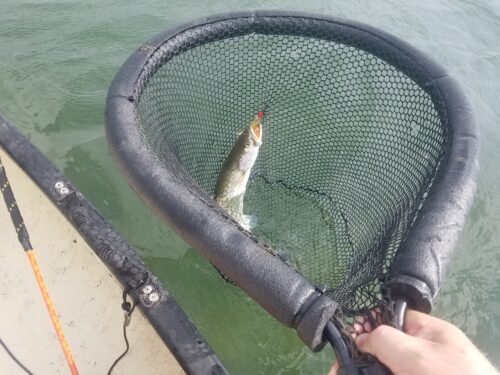 What is the best way to rig a kayak?